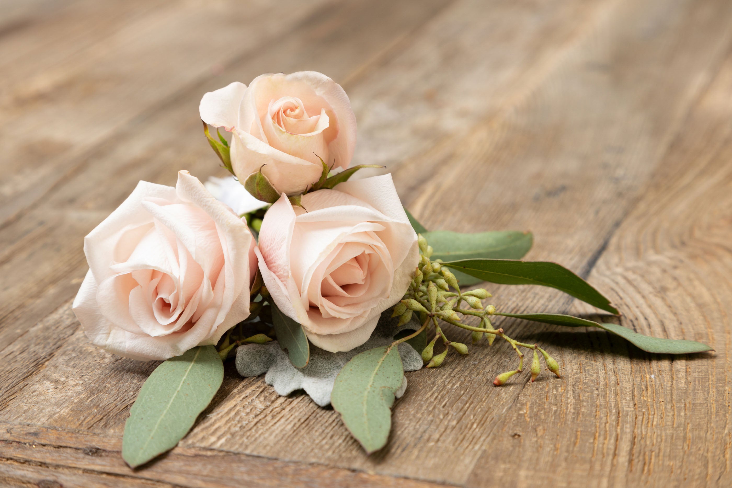 Forever Young Collection – Kukka Flowers